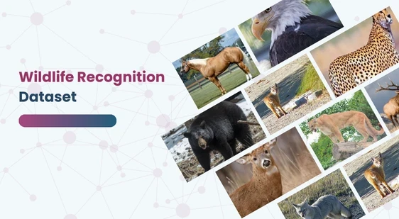 Download High Quality Ai And Ml Datasets Gts Ai