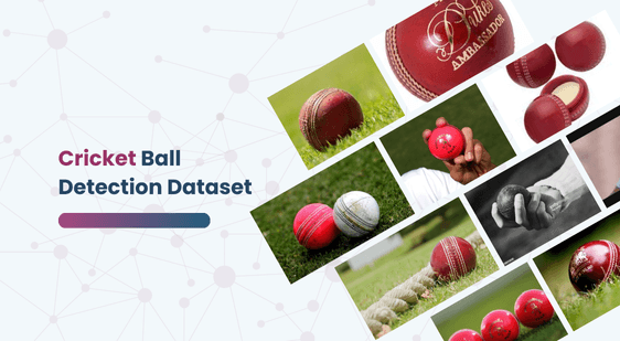Download High Quality Ai And Ml Datasets Gts Ai
