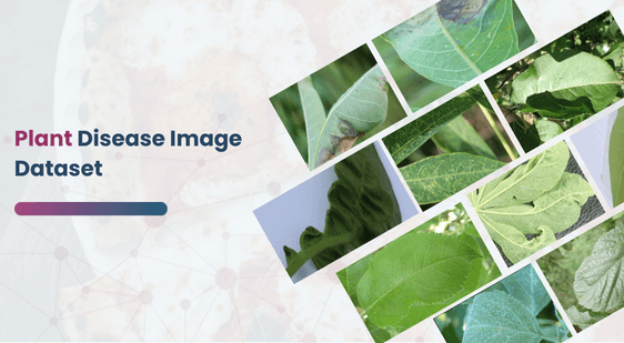 Plant Disease Image Dataset for Machine Learning and AI